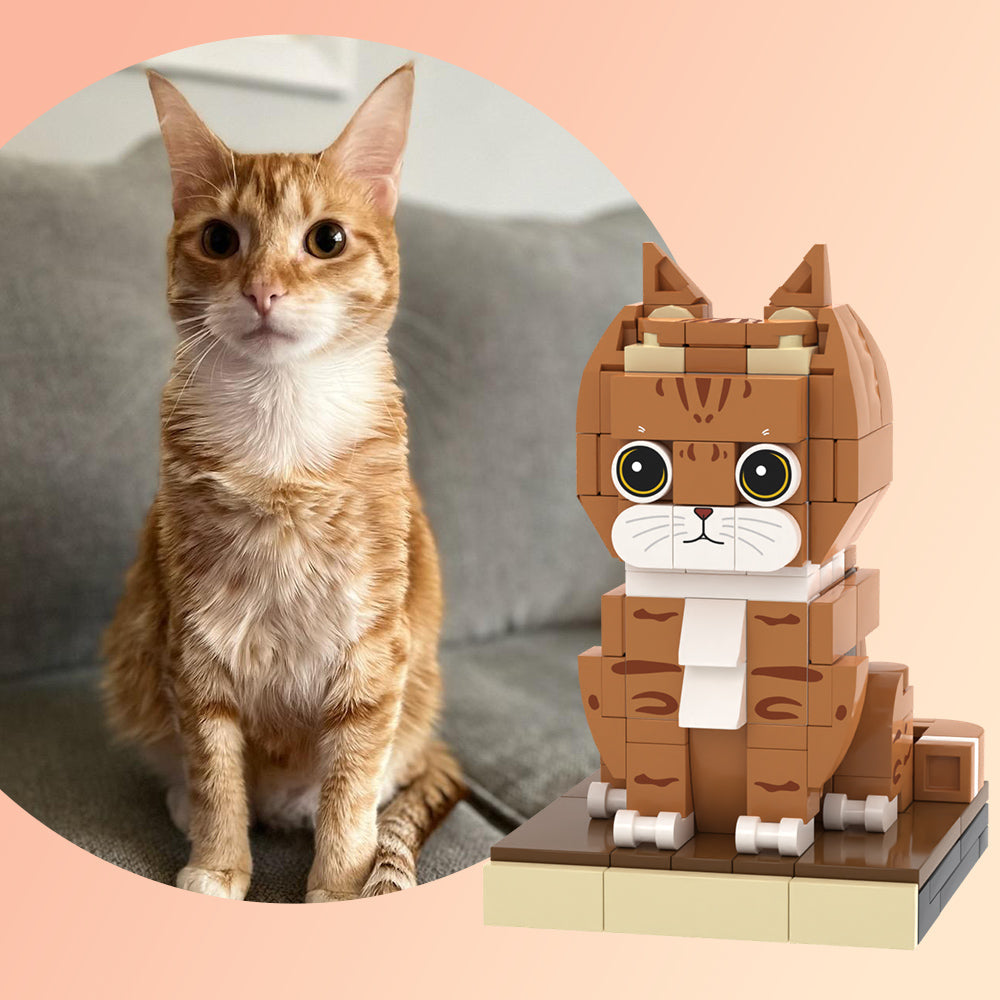 Custom Orange Cat Brick Figures Fully Body Customizable 1 Cat Photo ...