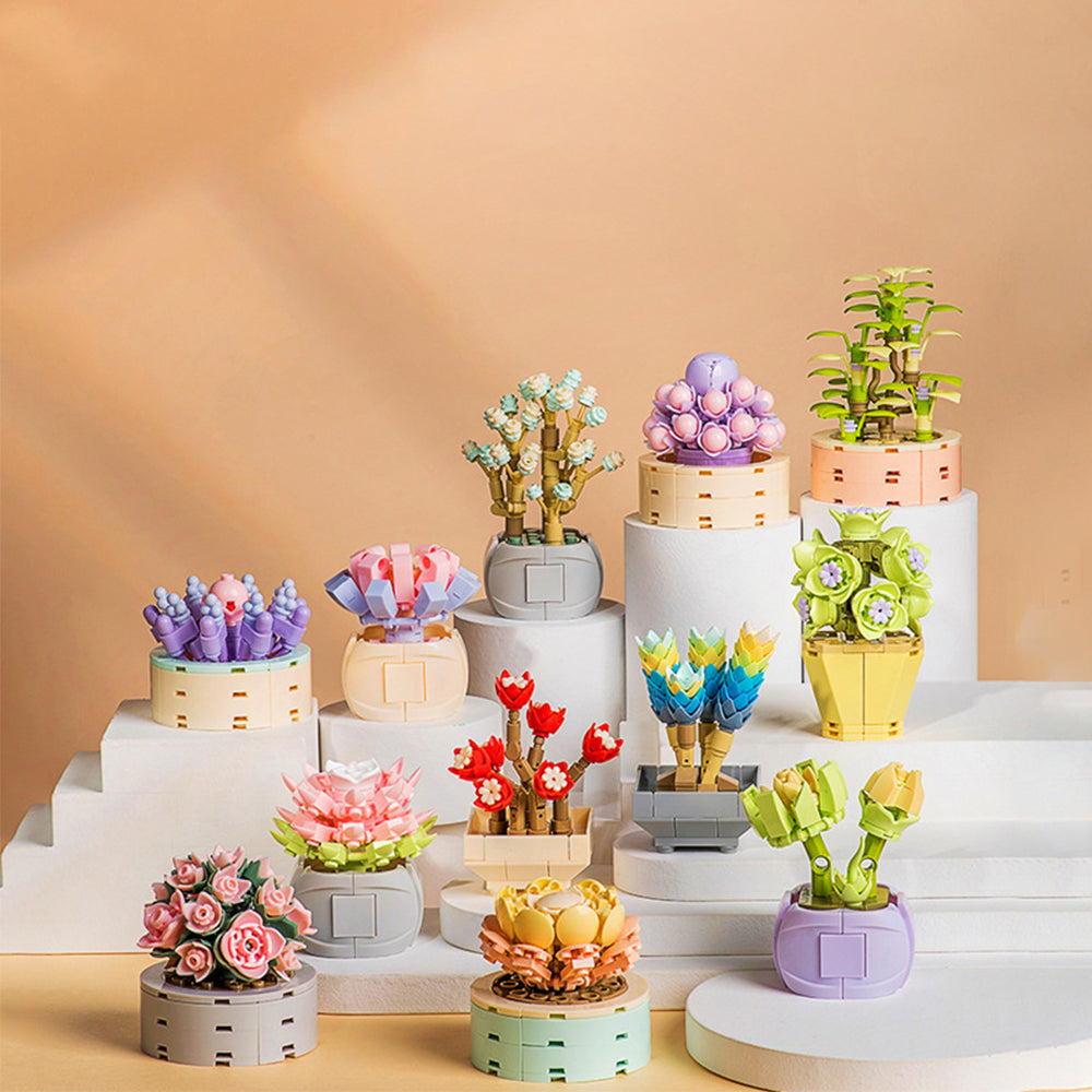 Potted Succulent Building Blocks Succulent Botanical Flower Building ...