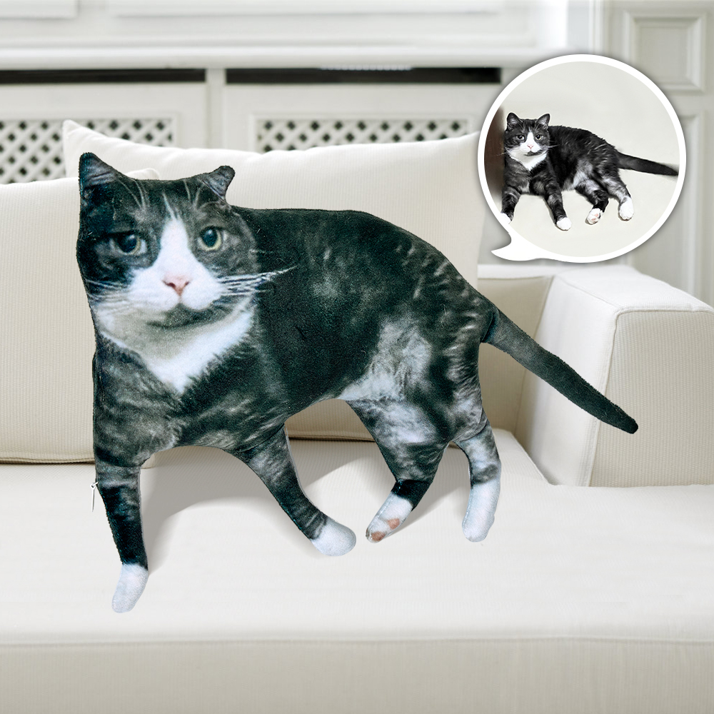 Hot Ugly Cat or Dog Zany Pillow Custom Pet Pillow Personalized Pet ...